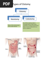 RVS Codes | PDF | Abdomen | Gastroenterology