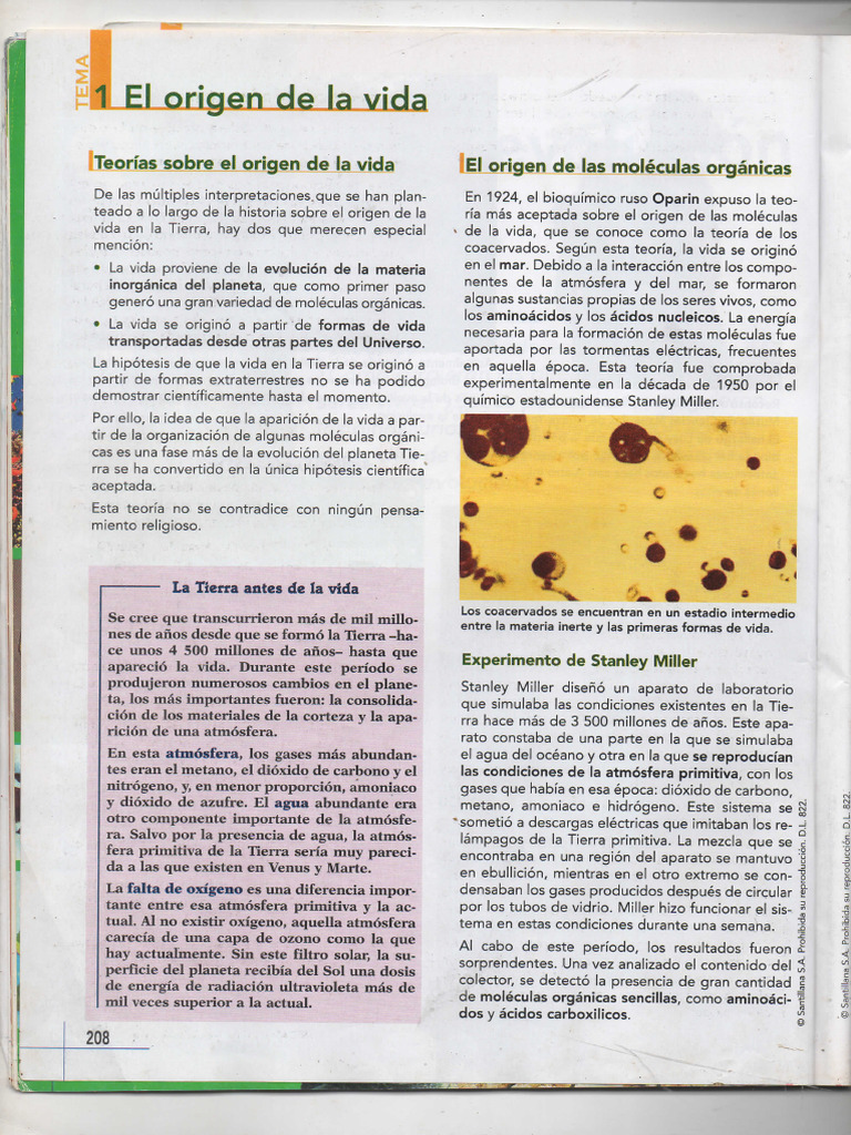 El Origen de La Vida | PDF