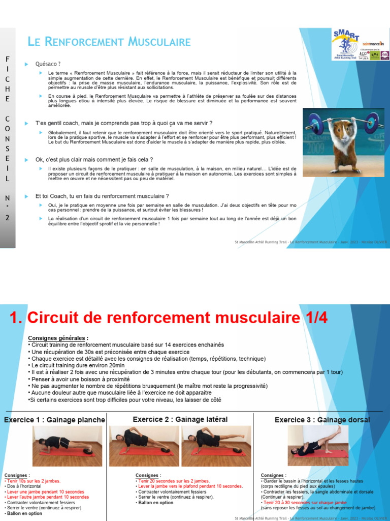 Fiche Conseil N 2 - Le Renforcement Musculaire - Janv 2023 | PDF