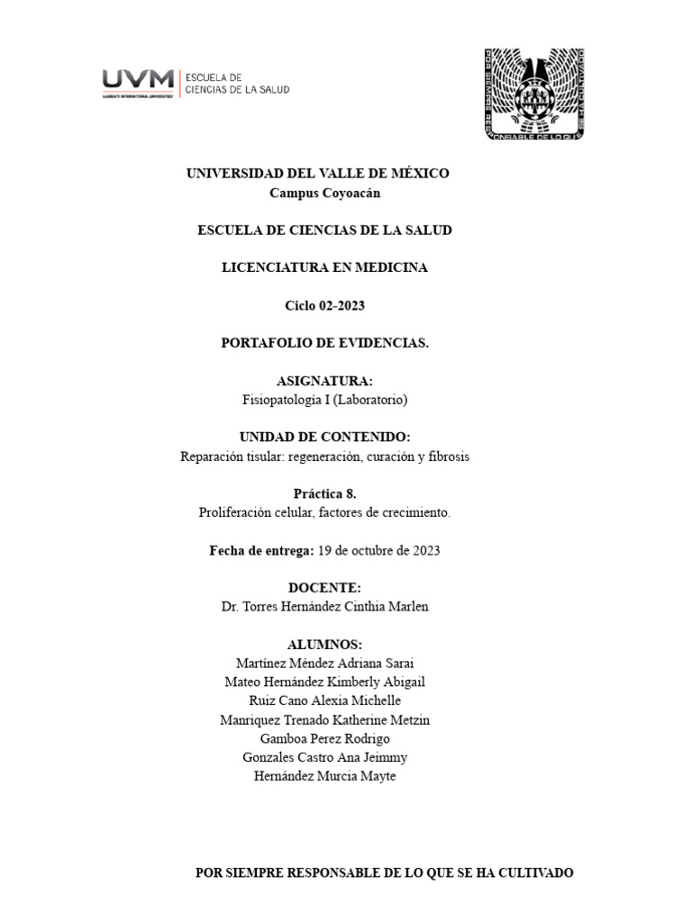 Practica 8 - FP1 | PDF