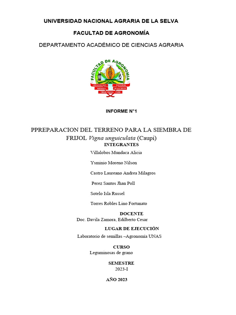 Informe General | PDF