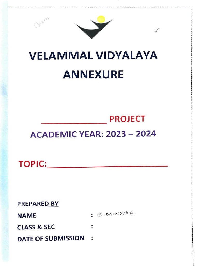 Chemistry Project Model 1 | PDF