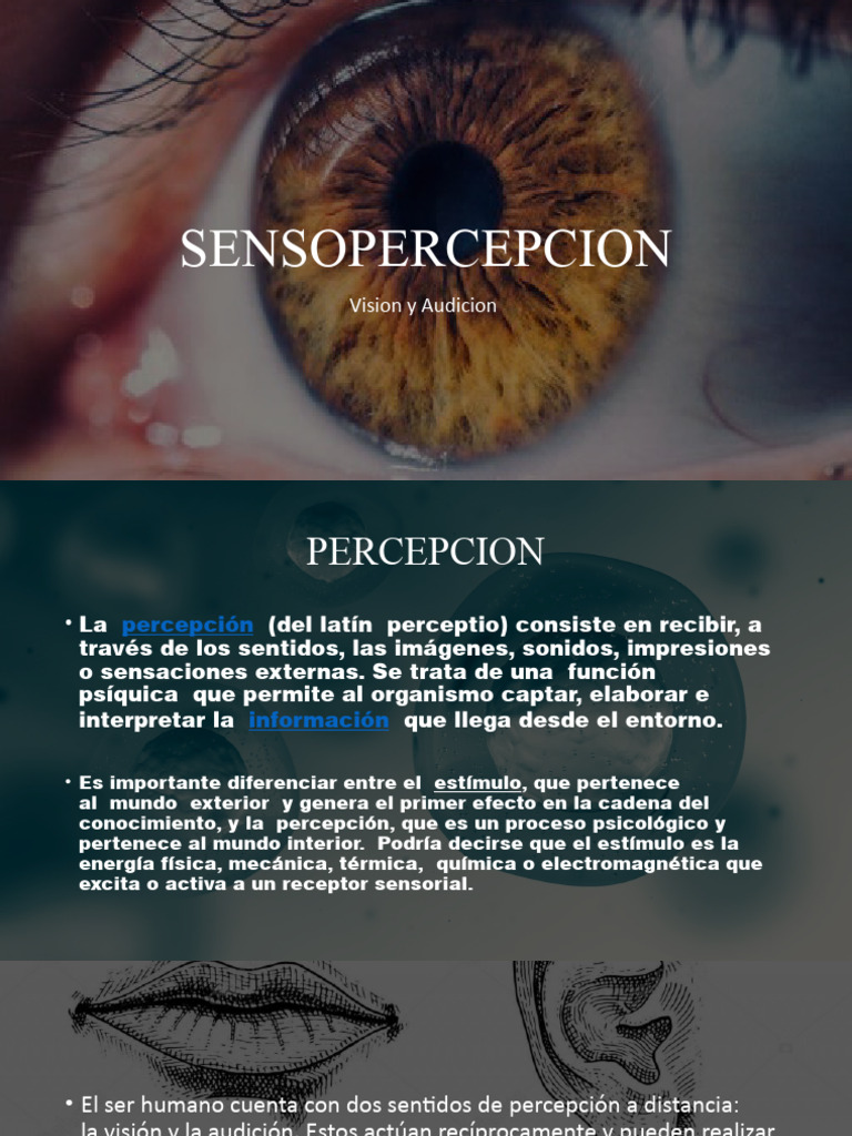 Sensopercepcion 1 | PDF | Sonido | Percepción