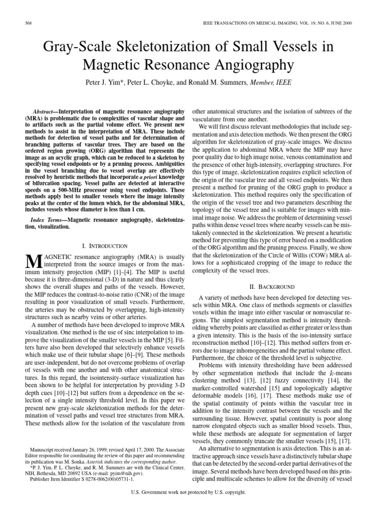 Gray-Scale Skeletonization of Small Vessels in Magnetic Resonance ...