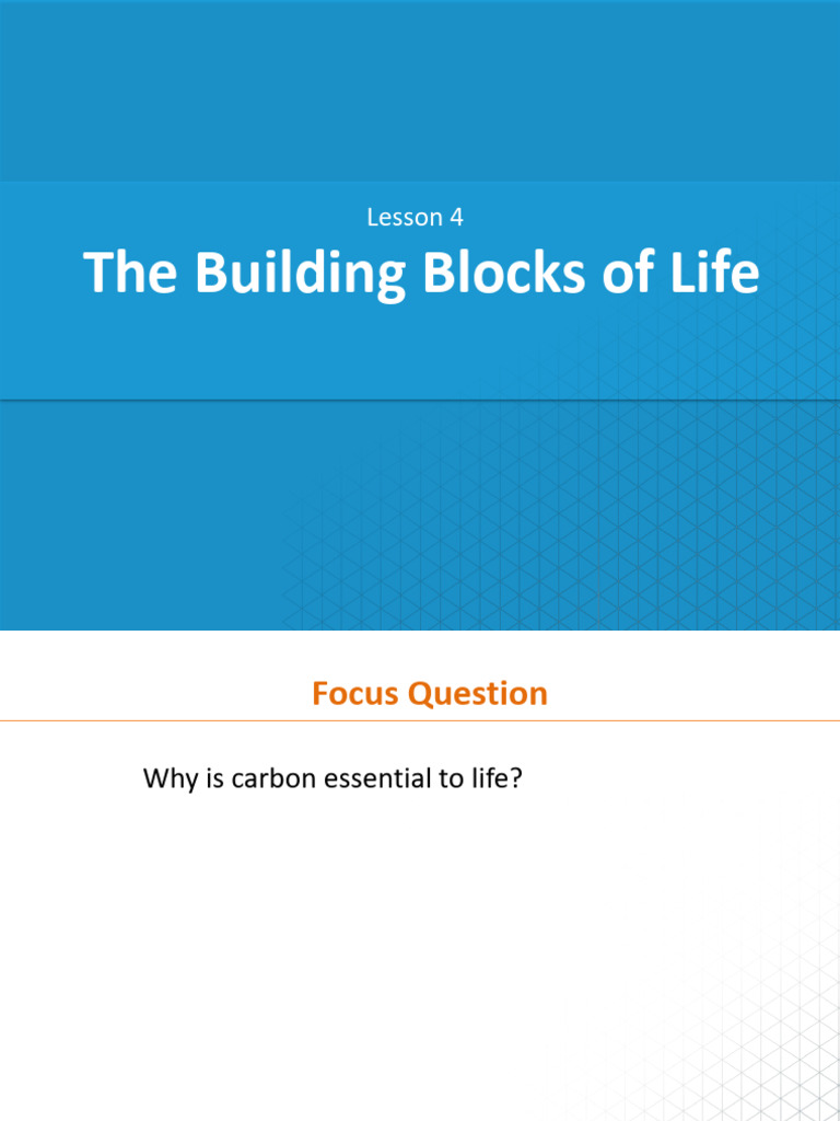 CA Lesson 04 The Building Blocks of Life | PDF | Macromolecules ...