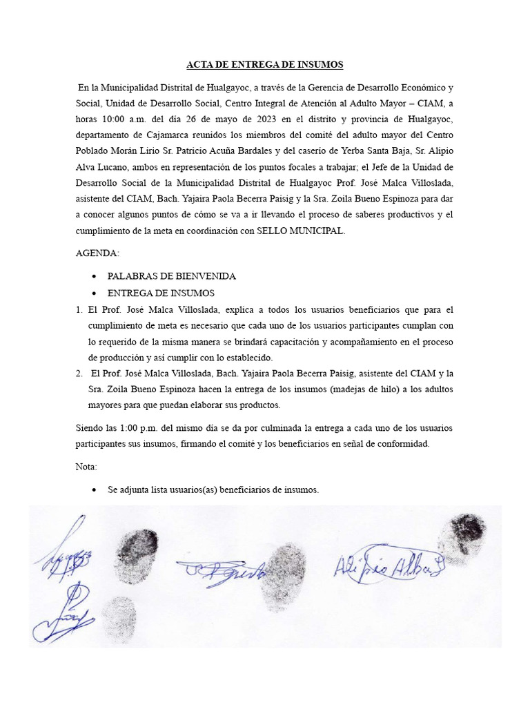 Acta de Entrega de Insumos | PDF