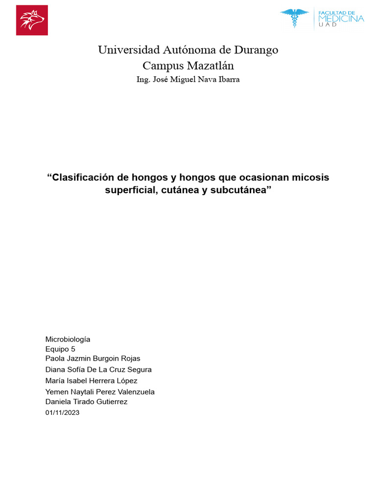 3C - EQUIPO 5 - Clasificacion de Hongos-2 | PDF