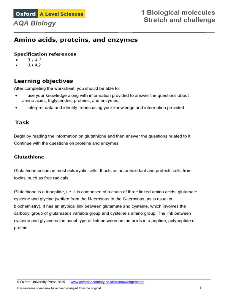 1 Stretch and Challenge - Amino Acids, Proteins, and Enzymes | PDF