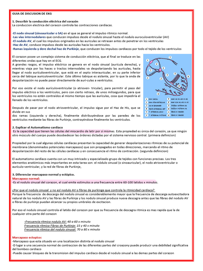 Guia de Discusion de Ek | PDF | Electrocardiografia | Electrofisiología ...