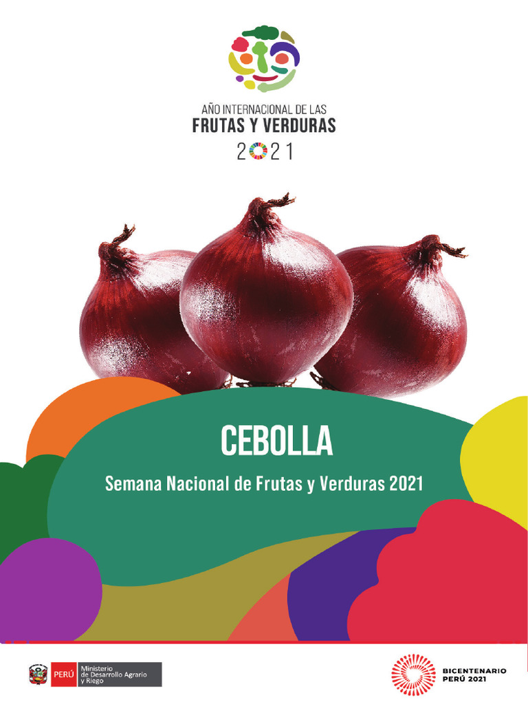 Dossier Cebolla | PDF | Agricultura | Cebolla