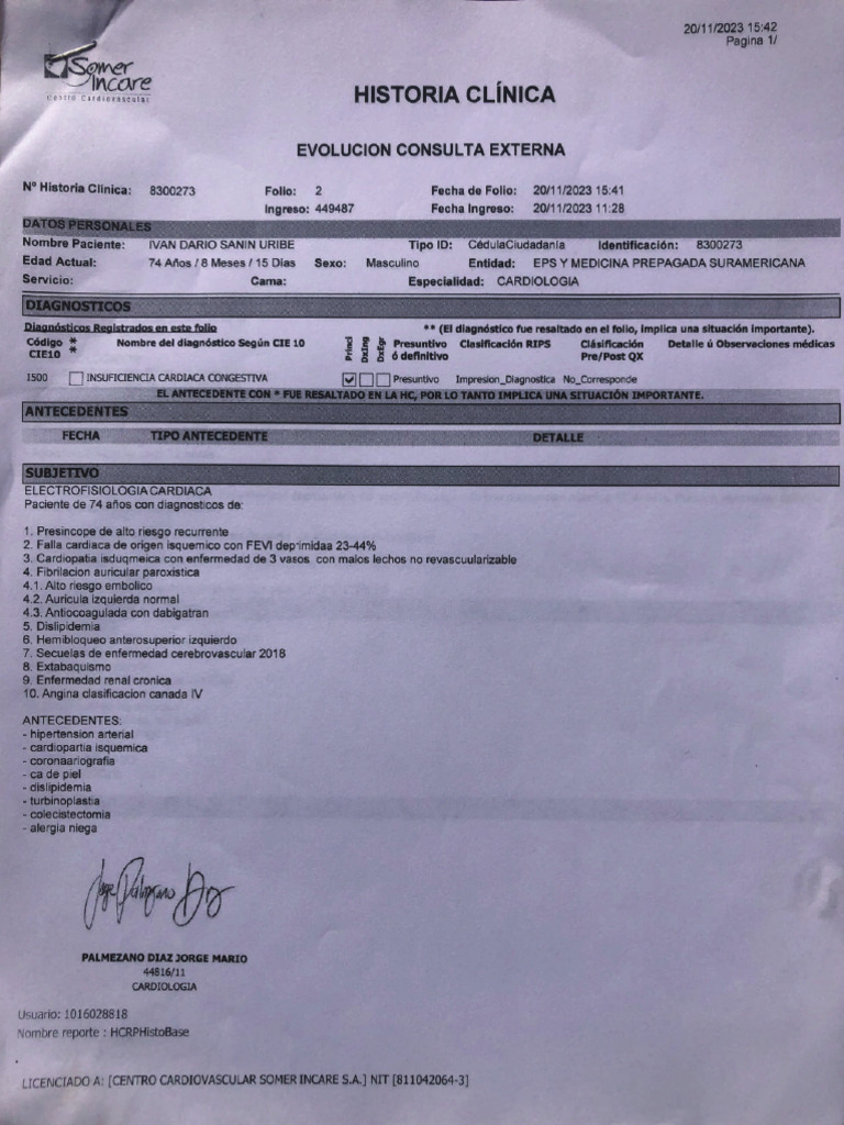 IVAND DARIO SANIN - Compressed | PDF