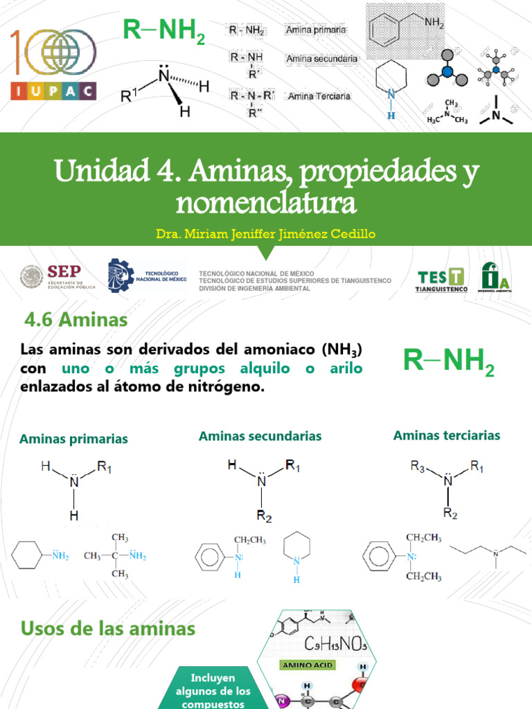AMINAS | PDF | Amina | Grupo funcional