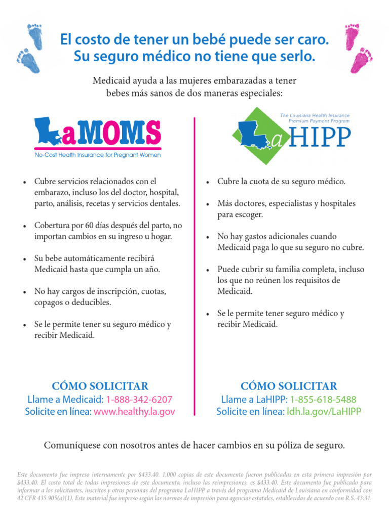 LaMOMS LaHIPP Flyer Spanish | PDF