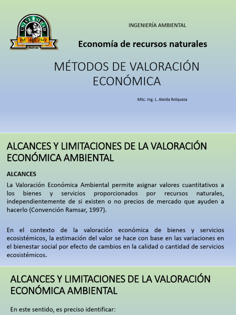 Métodos de Valoración Económica I-23-1 | PDF | Exterioridad | Bienes