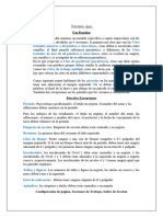 Normas APA 7: Notas y Tablas | PDF
