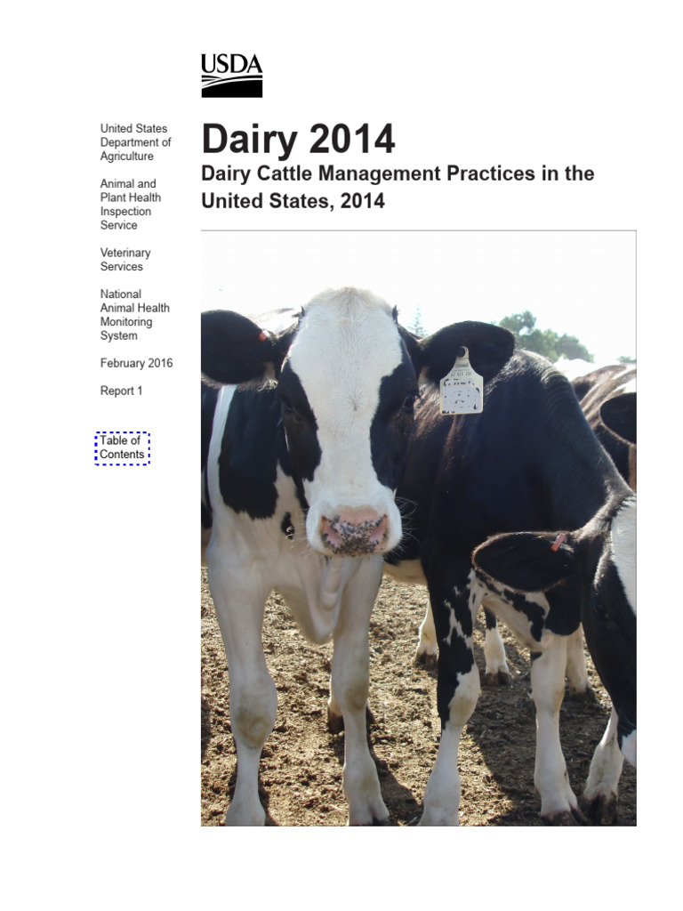 Dairy Cattle Management 2014 Report | PDF | Dairy Cattle | Cattle
