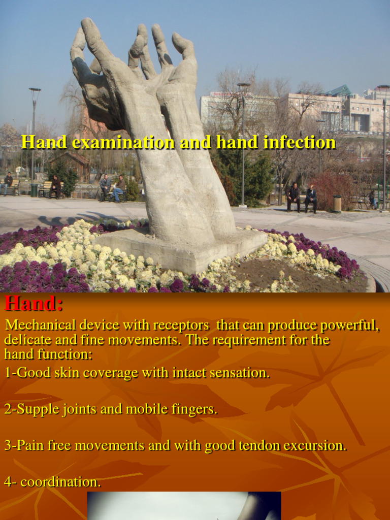 Hand Exam | PDF | Anatomical Terms Of Motion | Hand