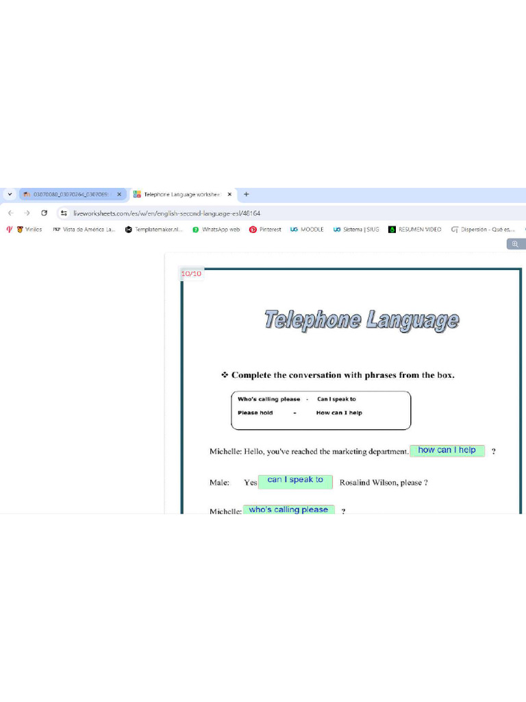 Homework Telephone Language | PDF