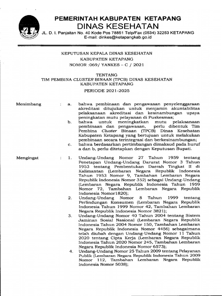 SK Tim Pembina Cluster Binaan Dinas Kesehatan | PDF