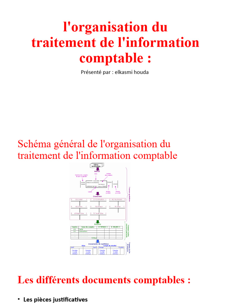 L'organisation Du Traitement de L'information Comptable | PDF