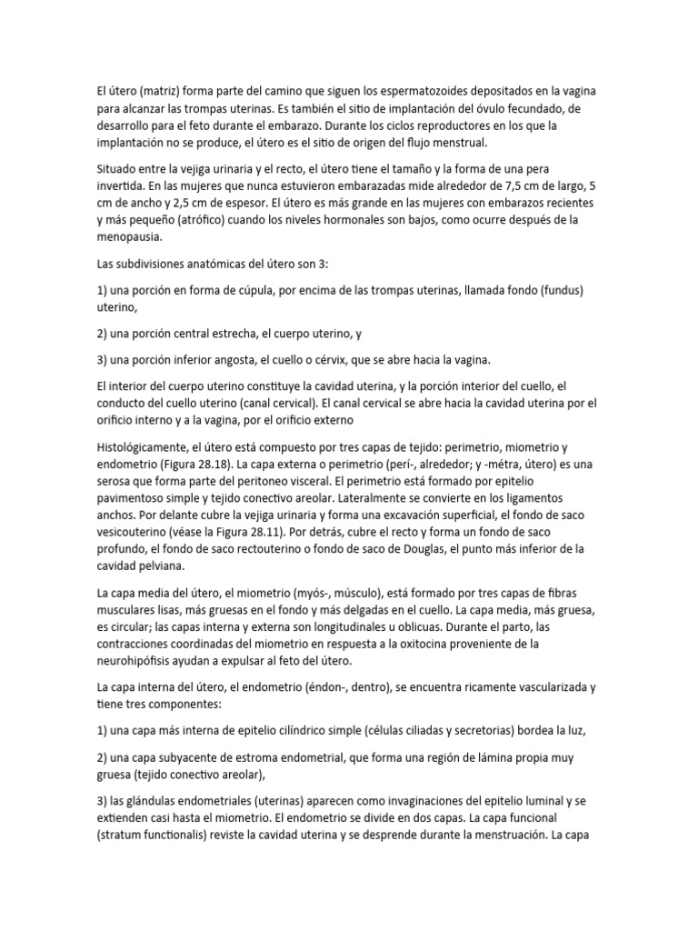 El útero Pdf útero Vagina