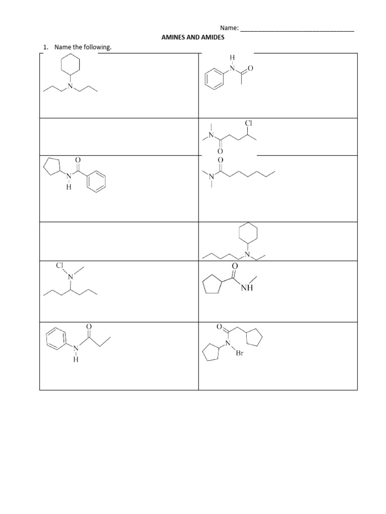 AMINES AND AMIDES Worksheet | PDF