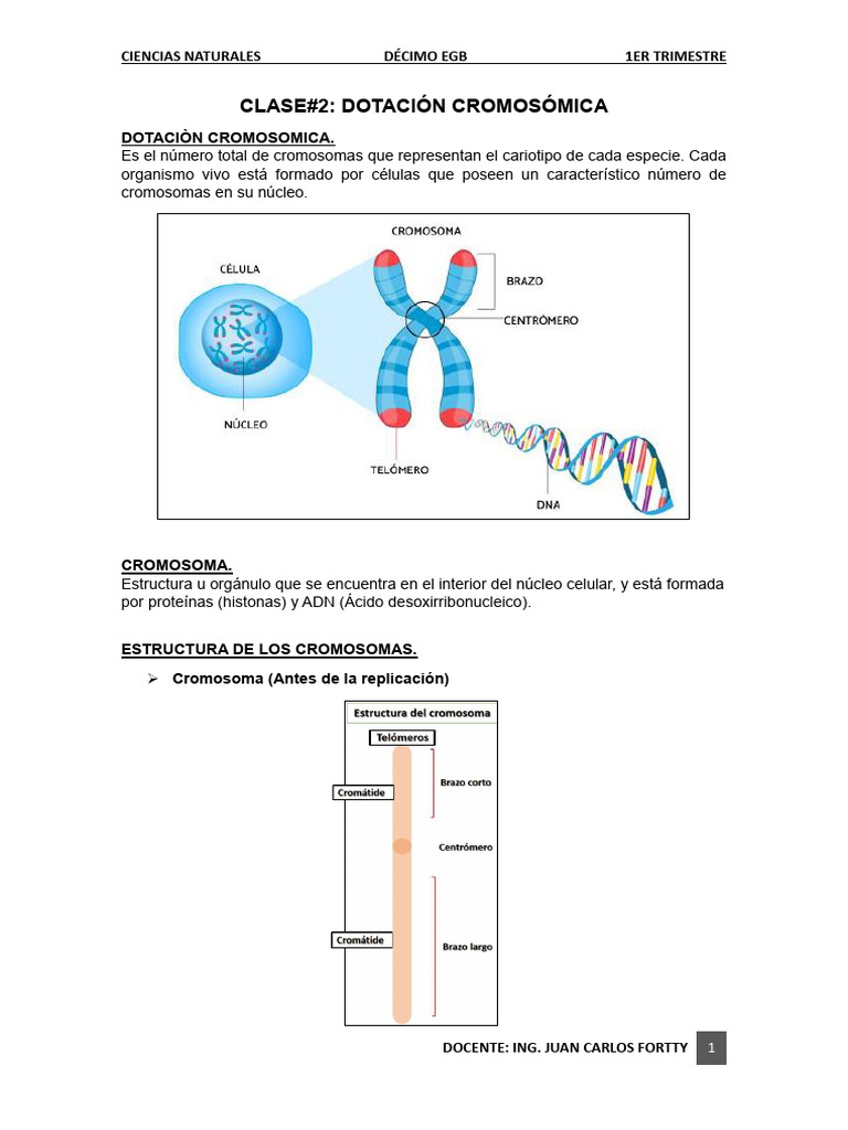 Clase#2 Dotación Cromosomica. | PDF | Cromosoma | Biología Celular)