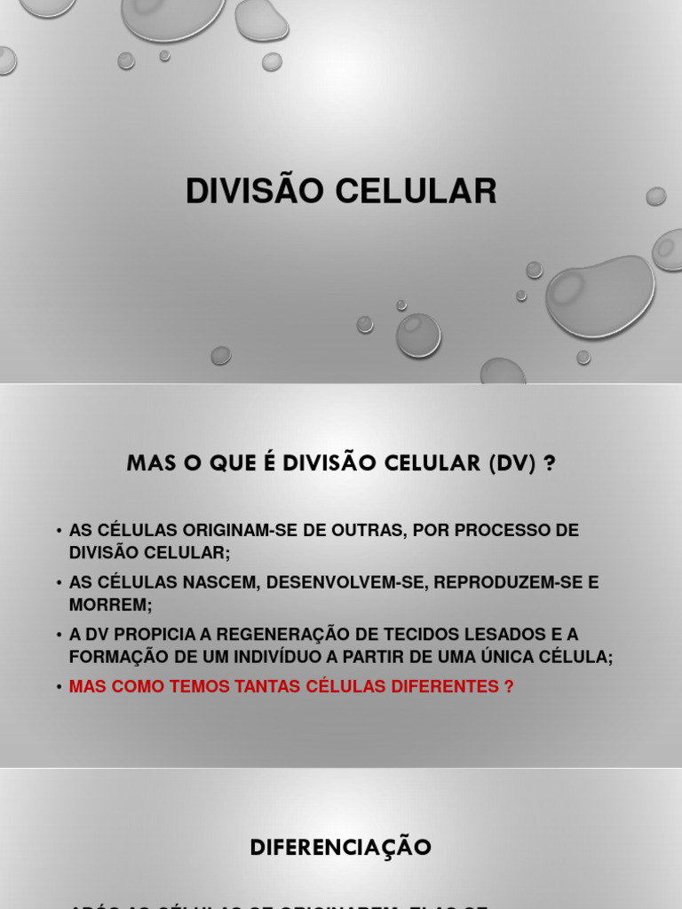 Divisão Celular | PDF | Cromossomo | Mitose