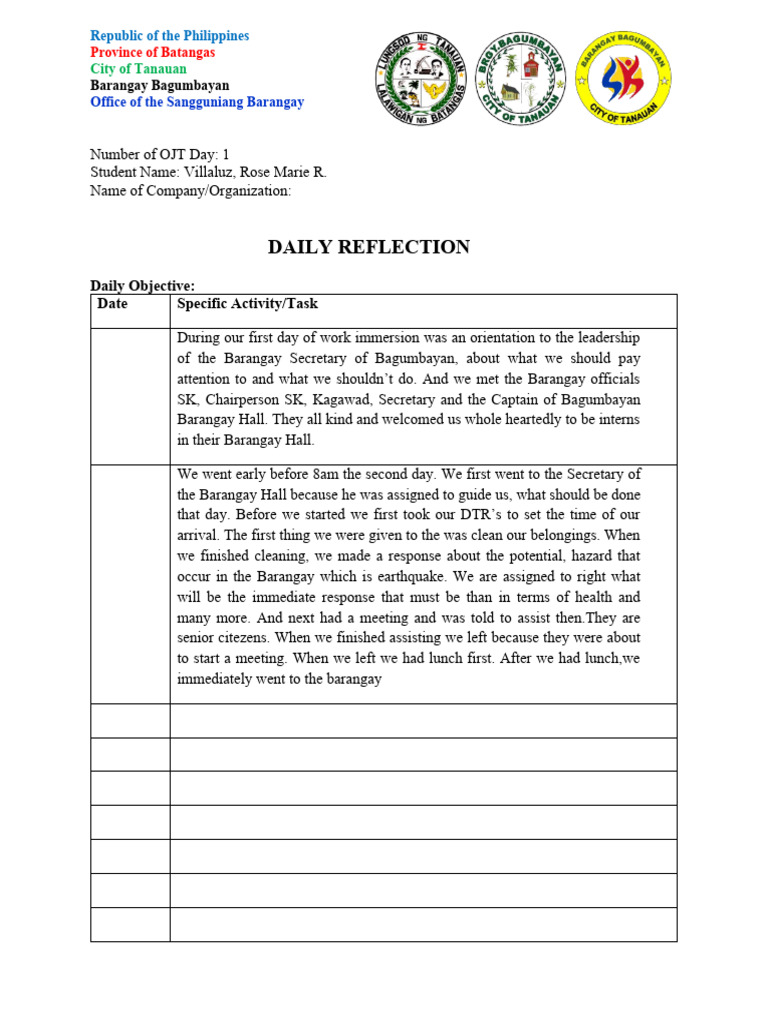 2023 Format-Brgy OJT Daily Reflection Template - Docx1 | PDF