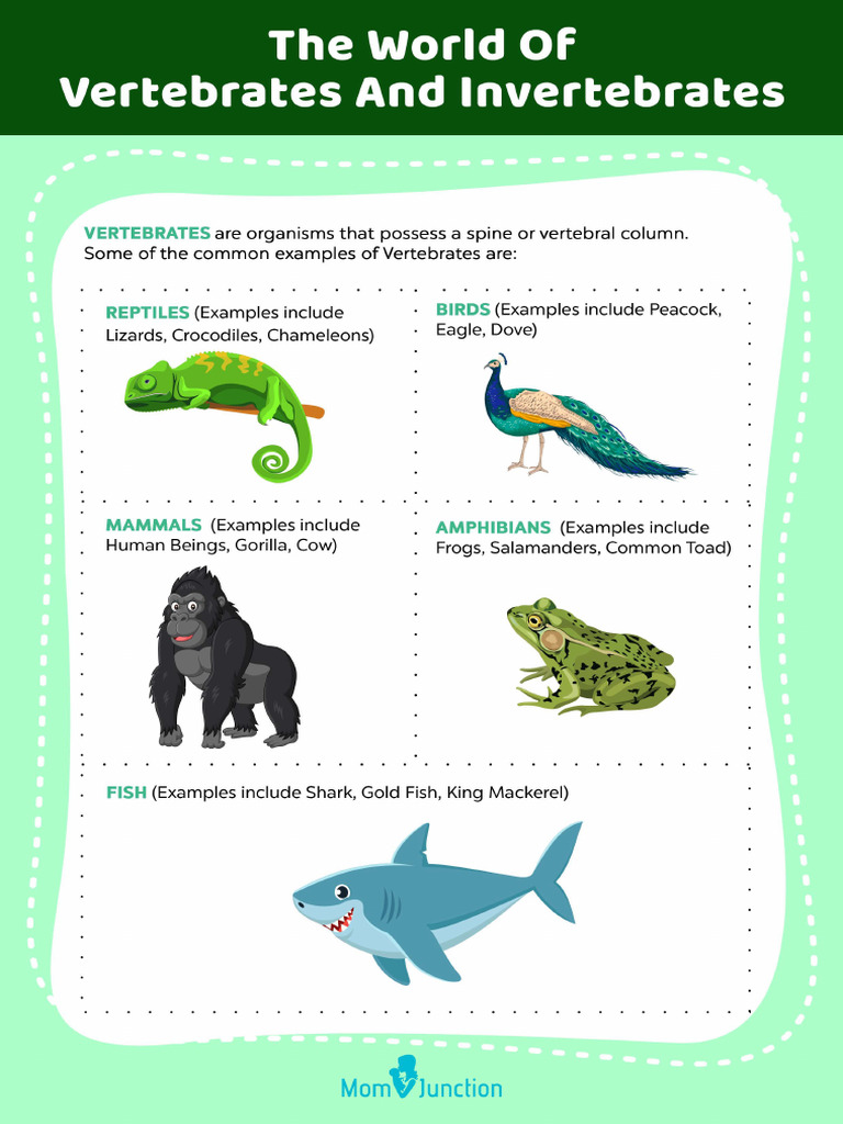 The World of Vertebrates and Invertebrates | PDF