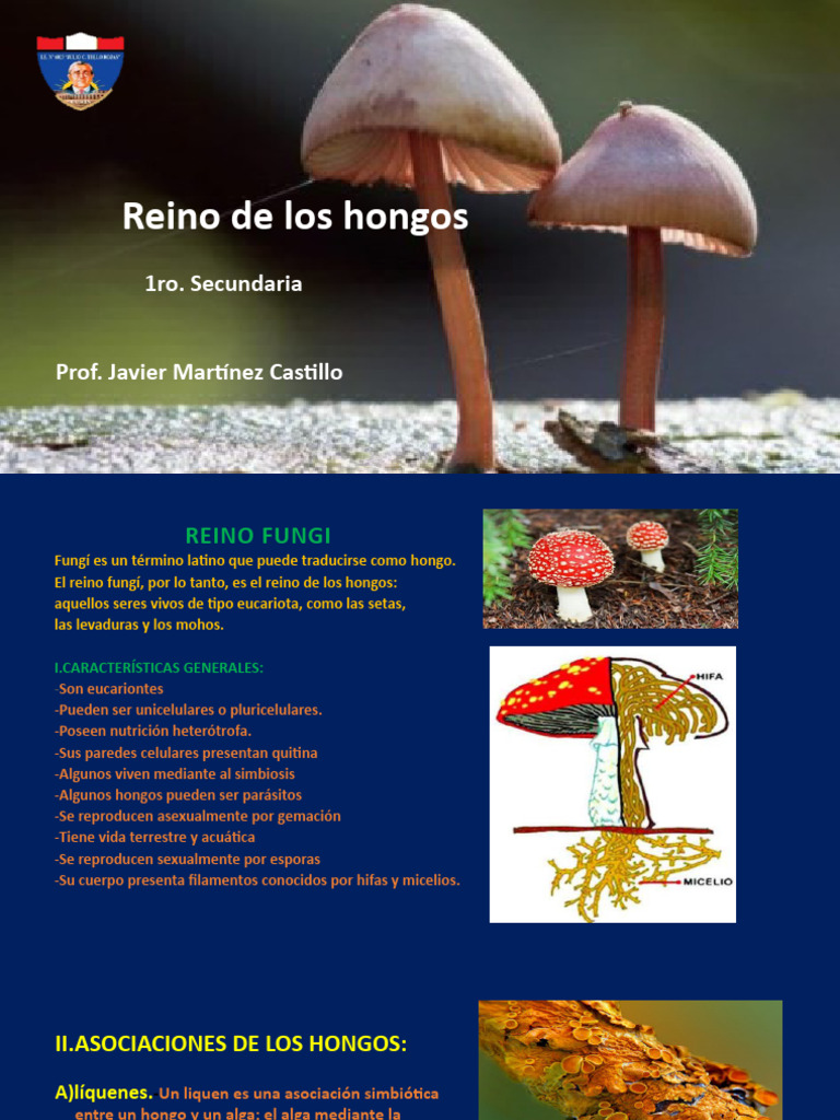 Reino Fungi | PDF