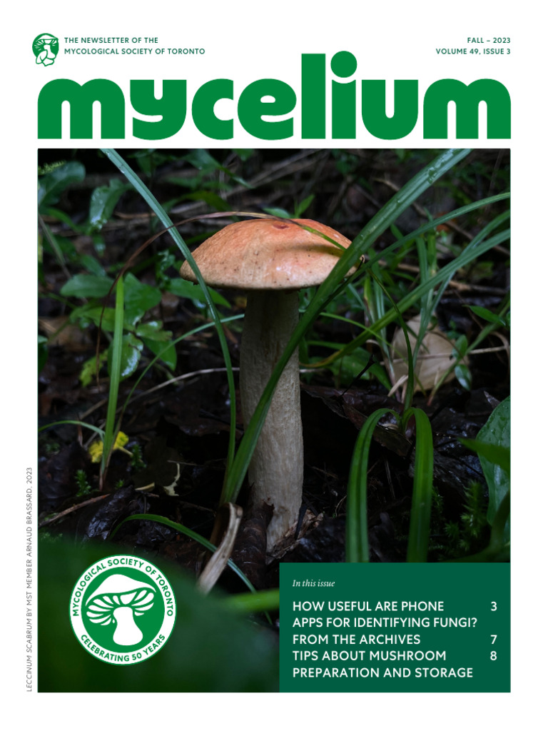 Mycelium v49 n03 | PDF | Fungus | Artificial Intelligence