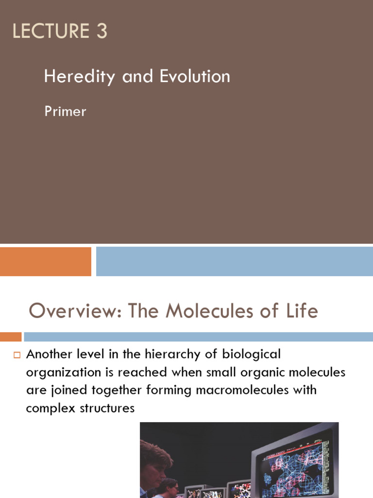 Lecture 4B. Primer - Nucleic Acids and Proteins | PDF | Science & Mathematics
