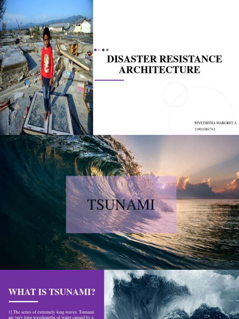 Disaster Seminar | PDF | Science & Mathematics