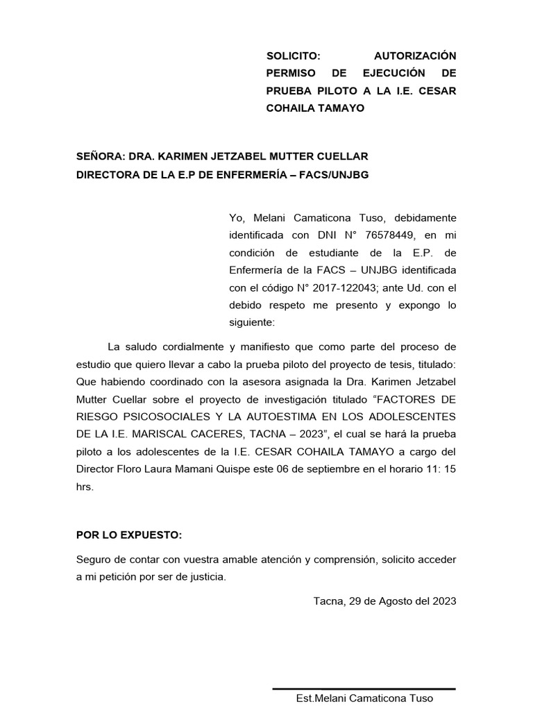 SOLICITUD Prueba Piloto | PDF