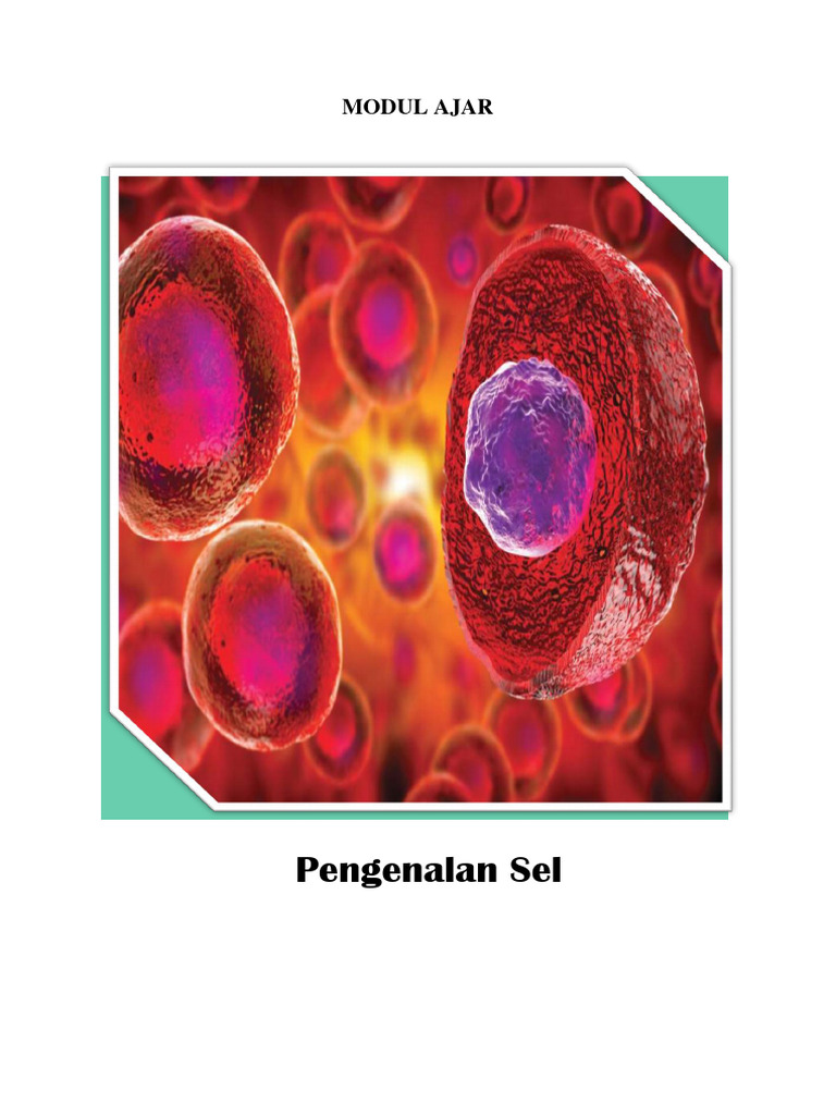 Modul Ajar Bab 1 Pengenalan Sel | PDF