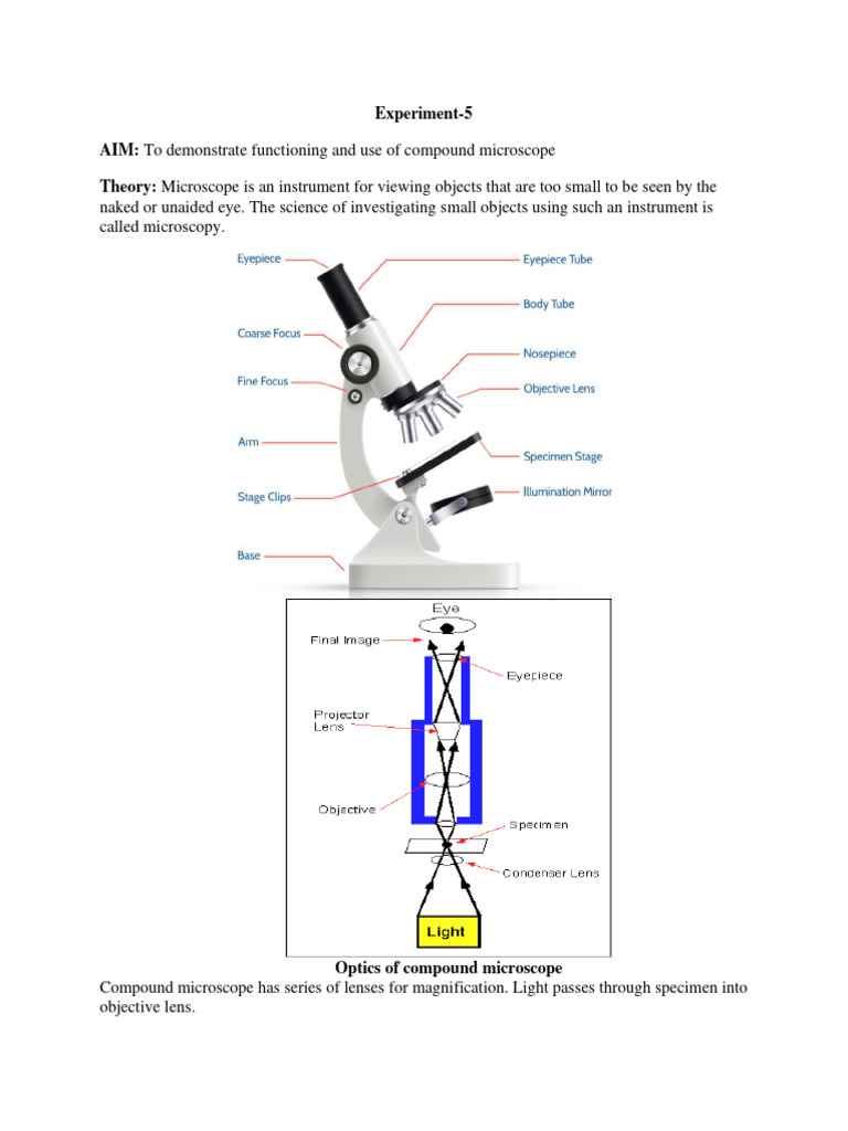 Experiment-5 | PDF | Computers