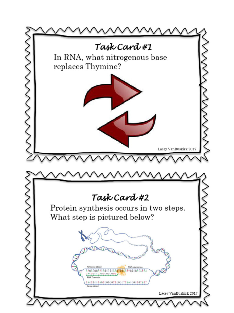 Protein Synthesis Task Cards-1 | PDF | Translation (Biology ...