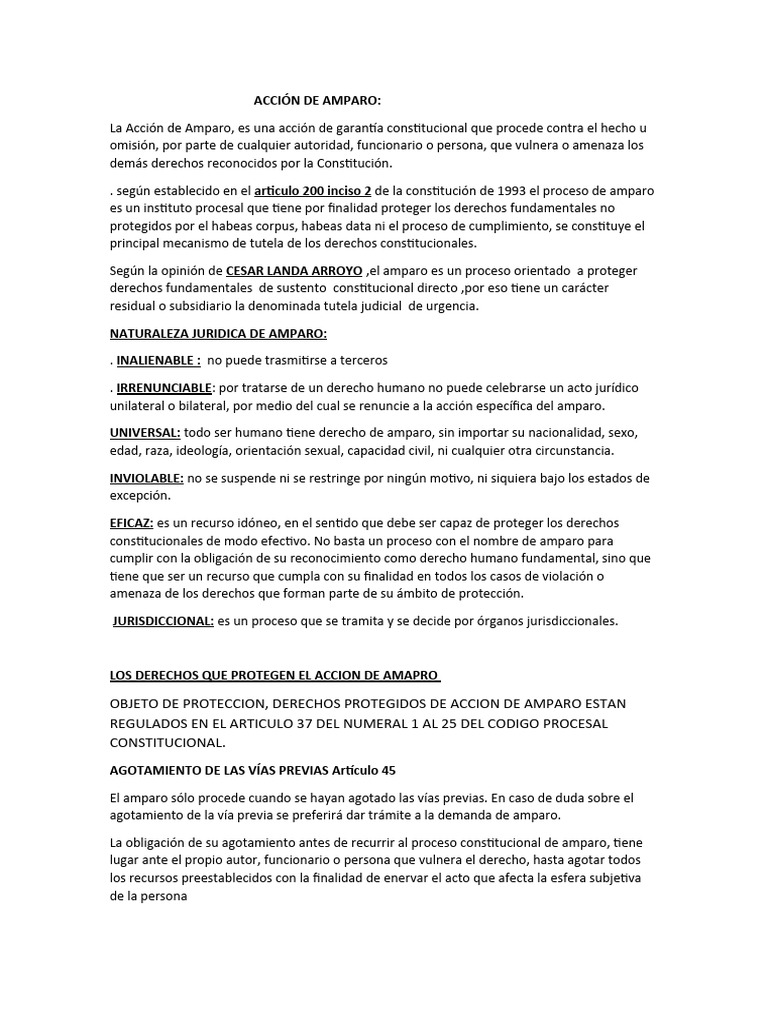 ACCIÓN DE AMPARO RESUMEN | PDF | Derecho Constitucional | Principios éticos