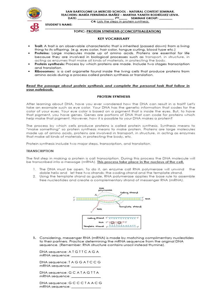 Protein Synthesis Worksheet | PDF