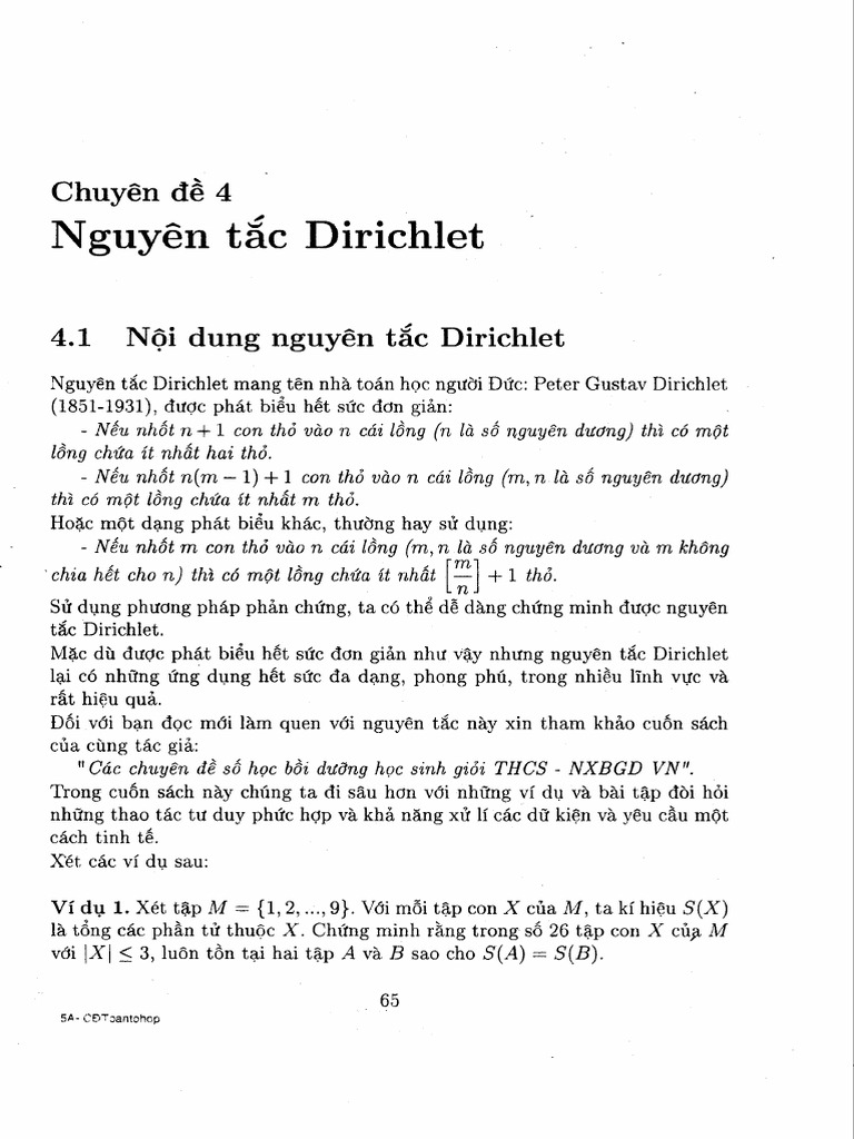 Chuyen de - Nguyen Tac Dirichlet | PDF