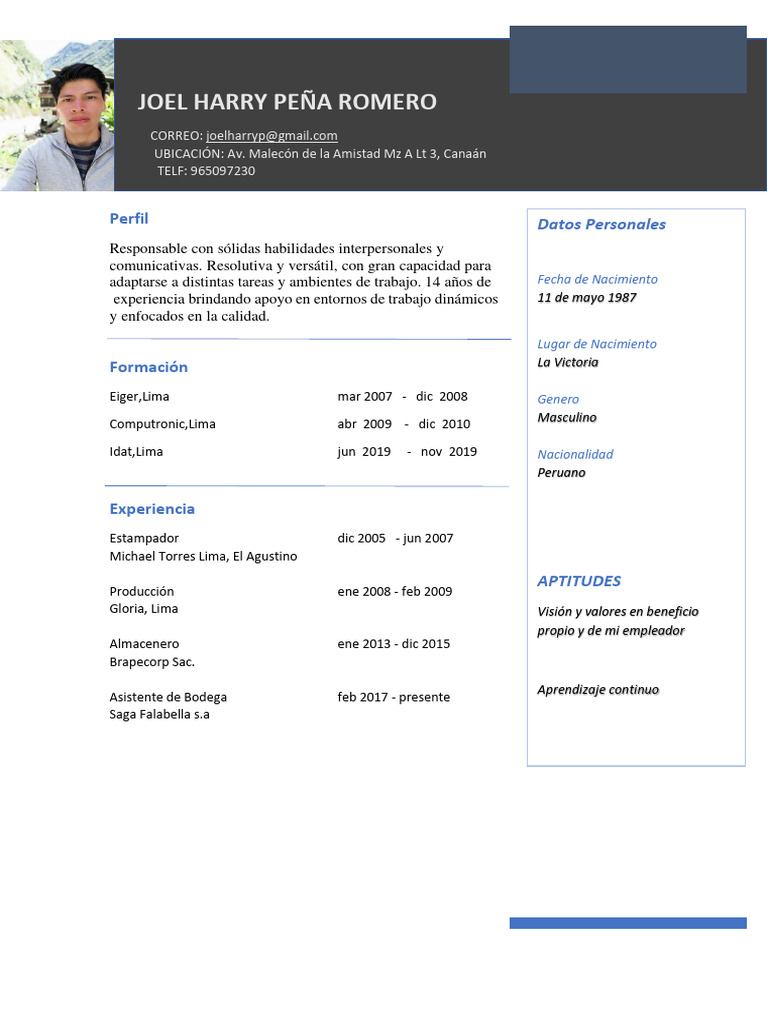 Joel Harry Peña Romero - CV | PDF