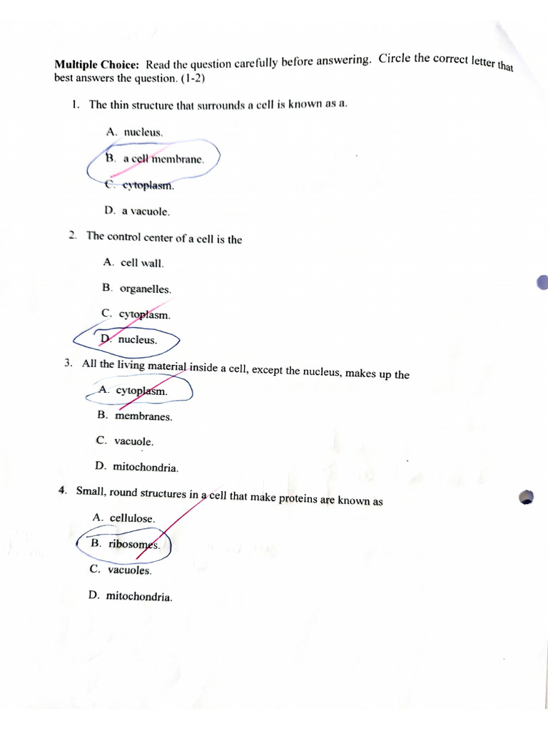 G9-Biology Cells Test MS | PDF