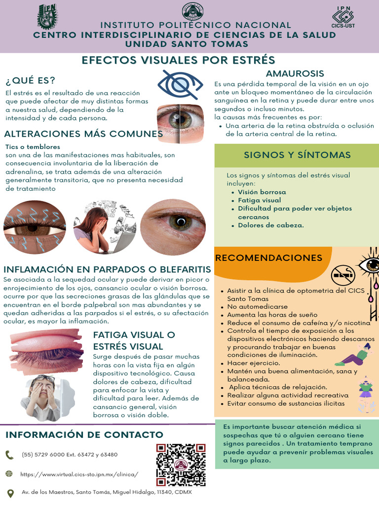 Estres Visual Infografia | PDF