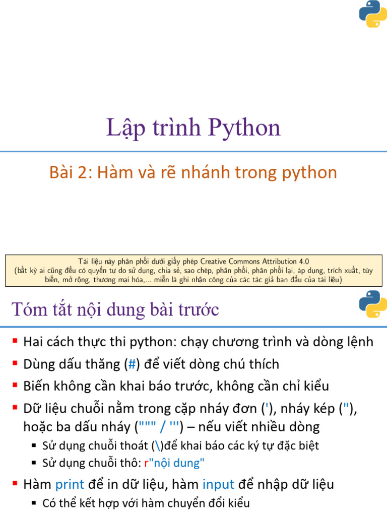 python.2023.02 - hàm và rẽ nhánh | PDF