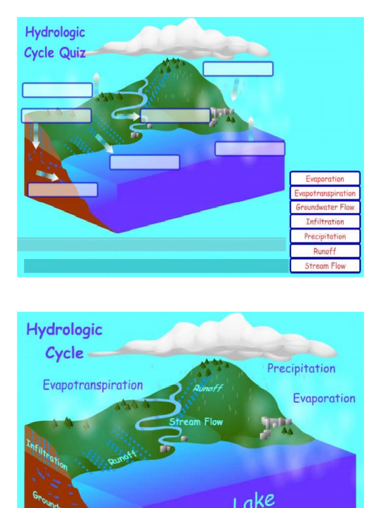 Water Cycle Processes Explained | PDF | Surface Runoff | Water