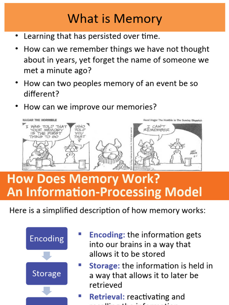 Memory PPT | PDF | Memory | Recall (Memory)