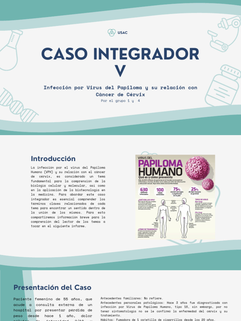 Caso Integrador 5 | PDF