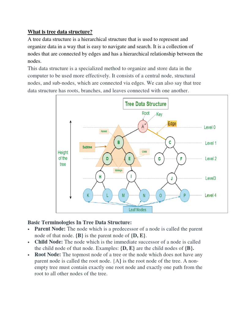 5.0 Tree data structure | PDF | Information Retrieval | Cybernetics