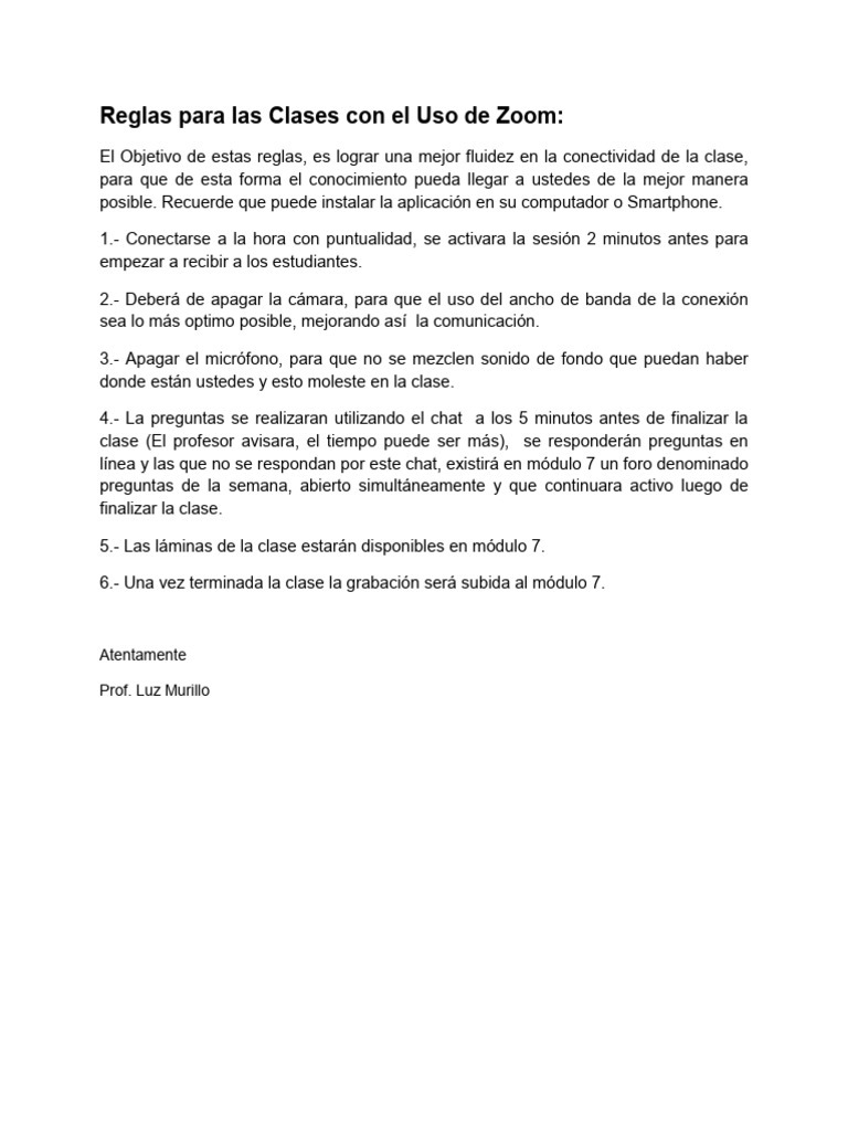 Reglas para El Uso de Zoom | PDF